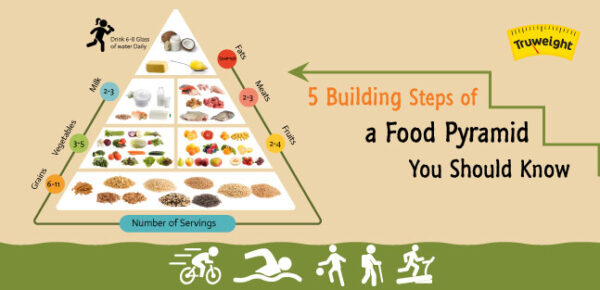 5 Building Steps of a Food Pyramid You Should Know
